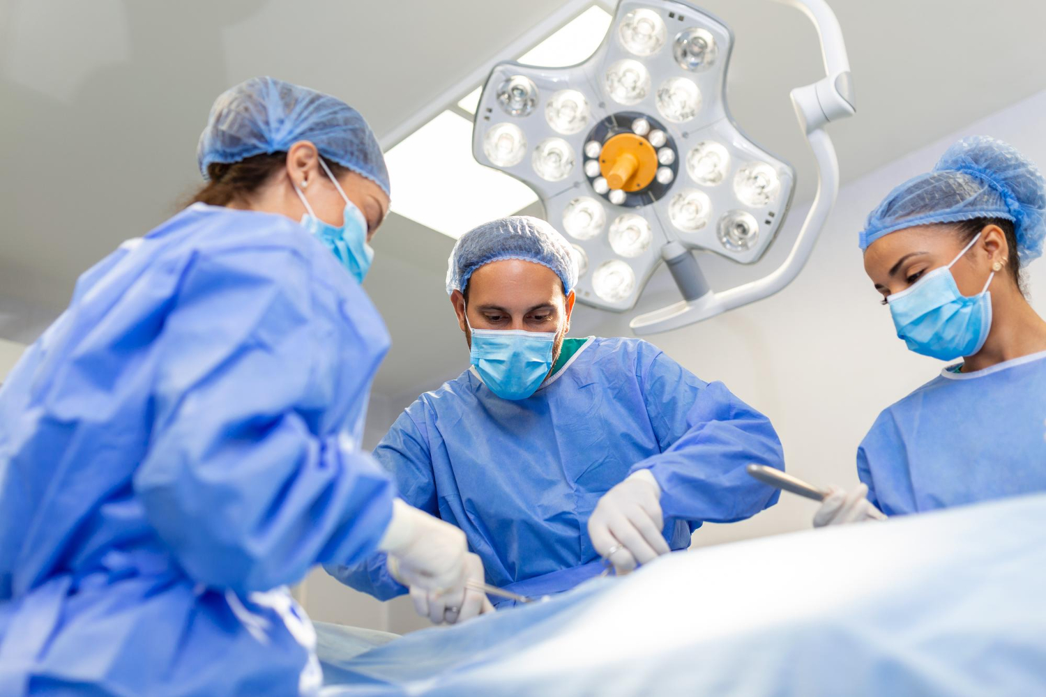 Intestinal & Multivisceral Transplantation - madrastransplant.com